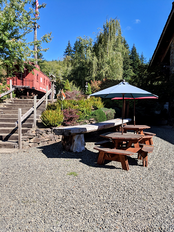 The outdoor seating area where picnic tables and umbrellas create the perfect setting for enjoying forest air with your forest fare.