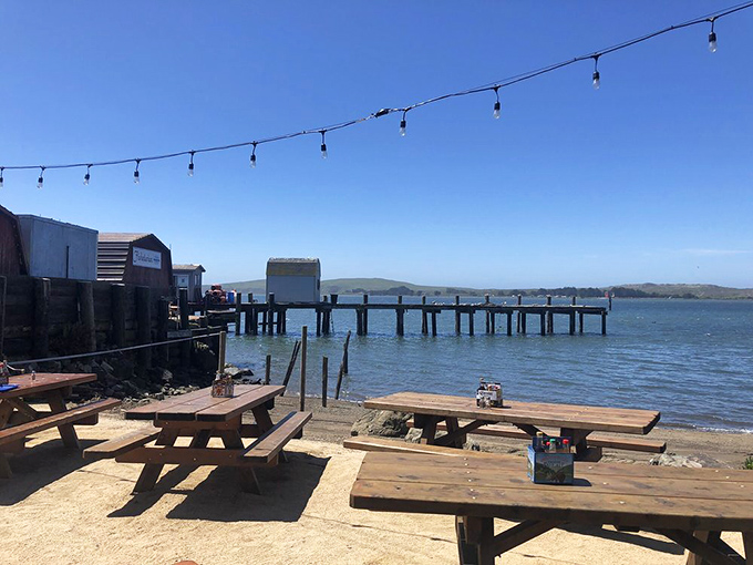 Picnic tables with million-dollar views &ndash; where your only dining companions might be seagulls eyeing your chowder with undisguised envy.