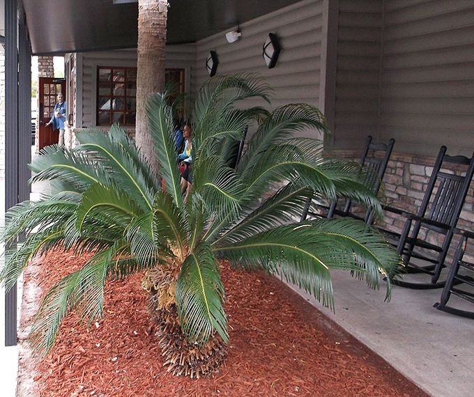 Rocking chairs on the porch invite you to sit a spell after your feast&mdash;Southern hospitality's way of saying "take your time, y'all."