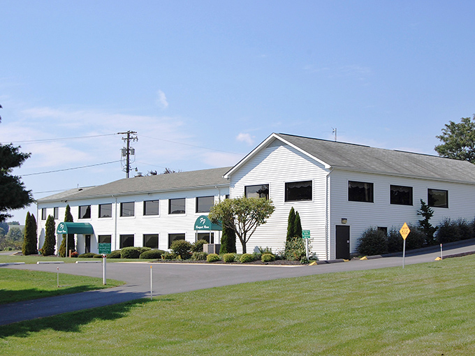 Even the outdoor seating area knows its job: provide space, let the food do the talking.