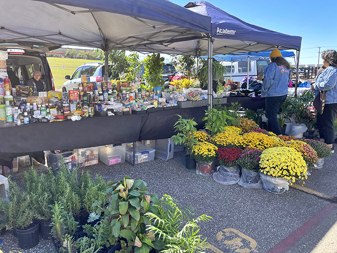 Fresh flowers and plants bring bursts of natural color to the market. Even your garden can score a bargain at this horticultural haven.