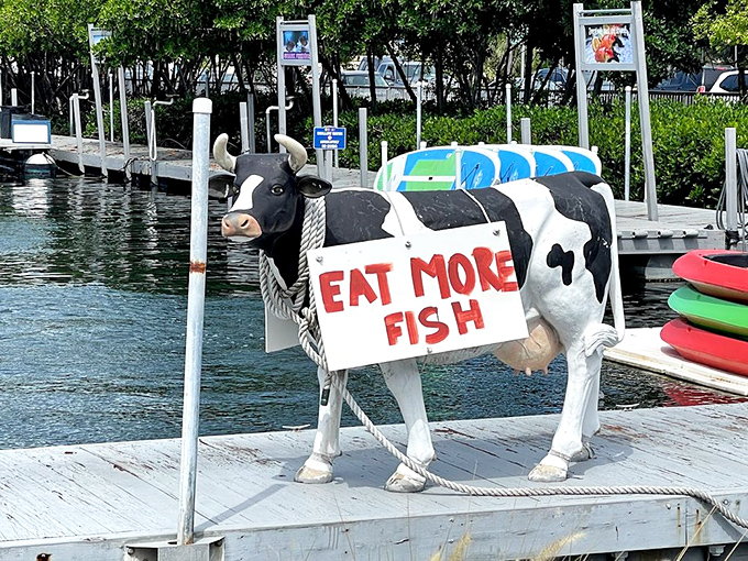 Even the cow knows what's up in Key West. "Eat More Fish" isn't just advice—it's a lifestyle when you're this close to the ocean.