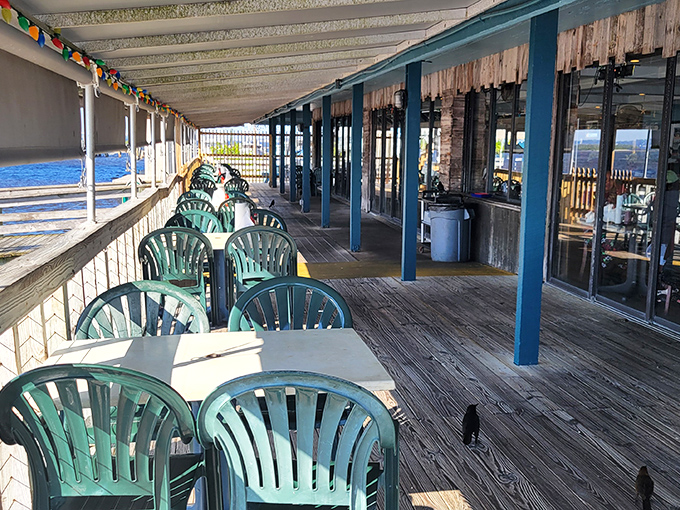 The outdoor deck &ndash; where plastic chairs become thrones and every meal feels like a special occasion.