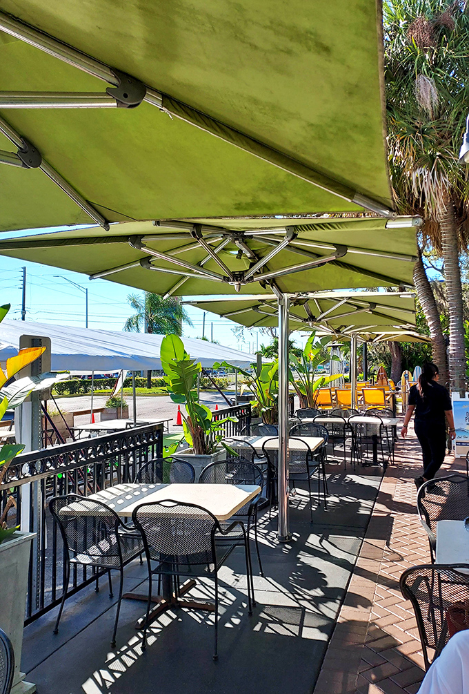 Outdoor seating, Florida-style&mdash;palm trees and umbrellas creating the perfect setting for enjoying New York flavors under sunshine state skies.