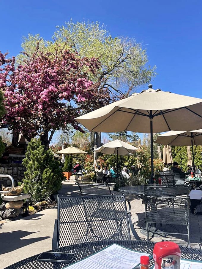The outdoor patio blooms with spring color, offering al fresco dining under umbrellas where flowering trees provide nature's own decoration.