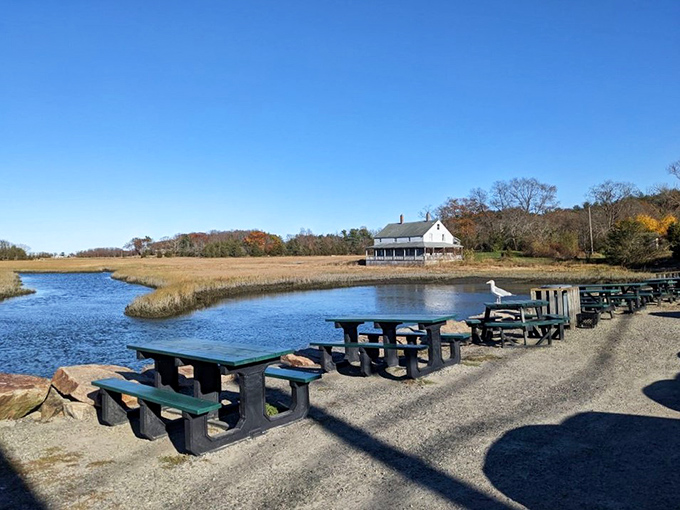 Picnic tables with million-dollar views of the Essex River. Mother Nature's dining room makes everything taste even better.