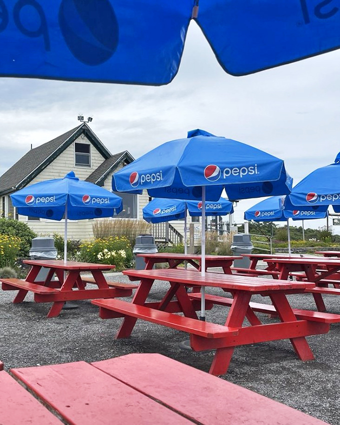 Blue umbrellas stand guard over red picnic tables, creating a patriotic palette against the coastal backdrop. Americana served daily.