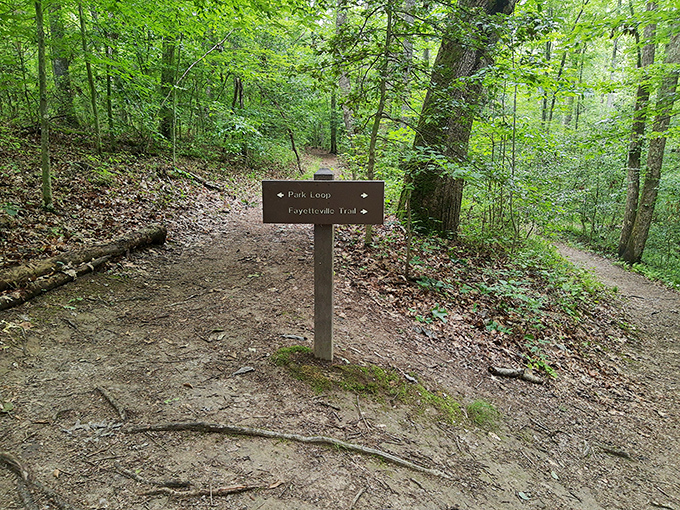 Trail markers: nature's version of "You Are Here" &ndash; pointing the way to adventures that won't show up in your email notifications.