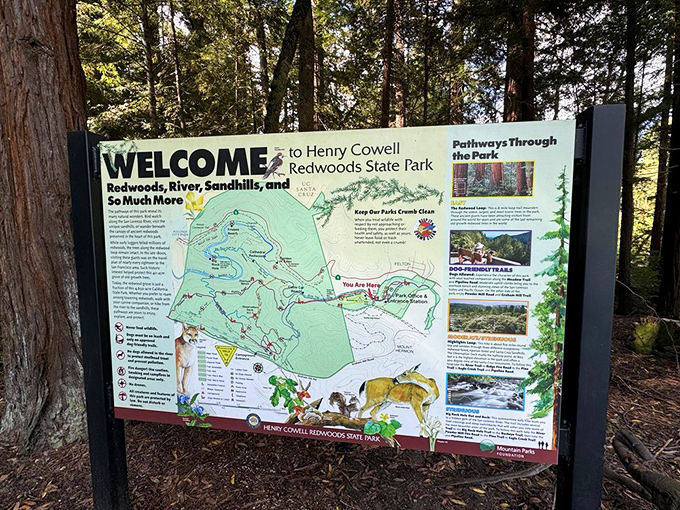 The park's welcome sign—where "You Are Here" feels less like geographic information and more like an existential revelation.