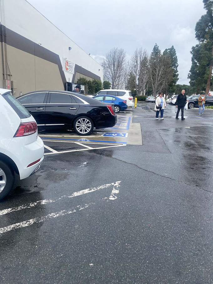 Handmade blankets with more color than a California sunset. Someone poured love into every stitch of that rainbow crochet masterpiece.