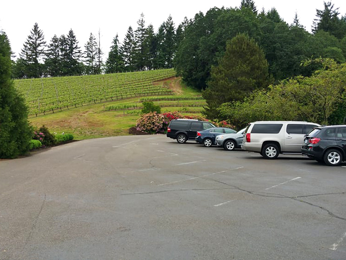 Even the parking lot has a view. Your car gets to enjoy the scenery while you're inside conducting important "wine research." 