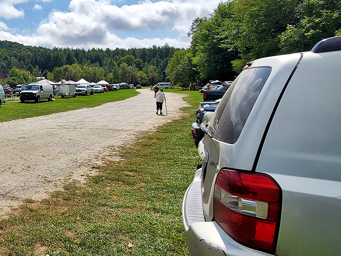 Cars fill the grassy parking area as another treasure hunter walks toward weekend deals that won't require explaining to accountants.