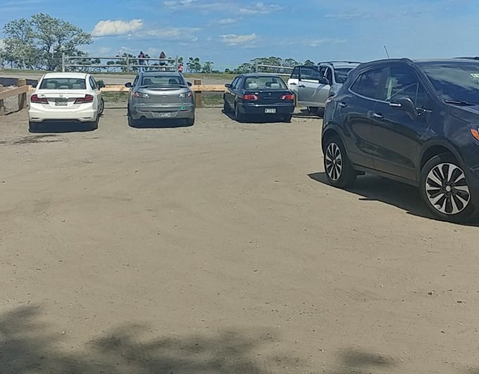 The parking lot&mdash;where treasure hunters begin and end their quests. Arrive early or circle like vultures!