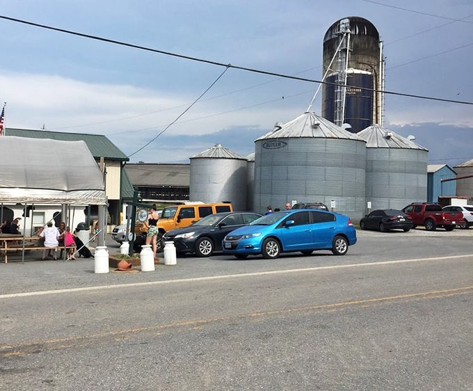 The working farm backdrop adds authenticity you can't fake. Those silos aren't decorative – they're part of the ice cream origin story.