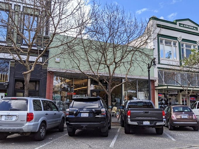 Petaluma's historic downtown, where the parking spots are as coveted as the treasures inside. Worth circling the block for.