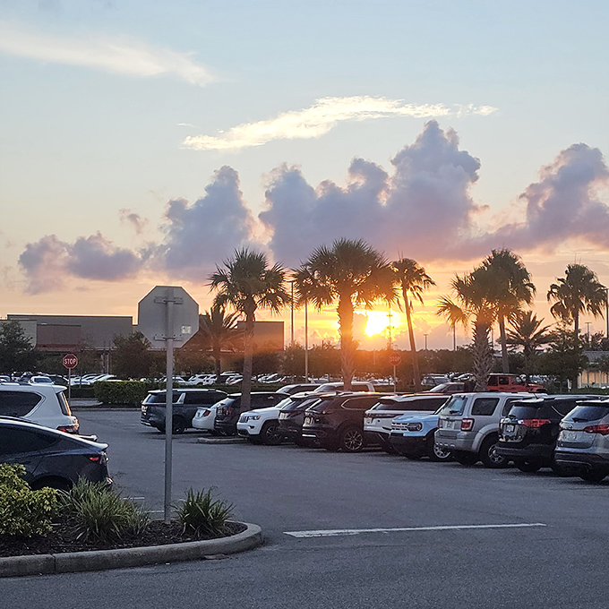 Sunset paints the parking lot golden, proof that even outlet shopping can have its genuinely Instagram-worthy moments.