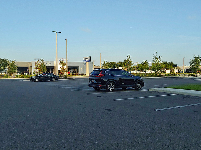 The parking lot&mdash;where empty trunks arrive with optimism and leave filled with treasures that somehow "just called to me."