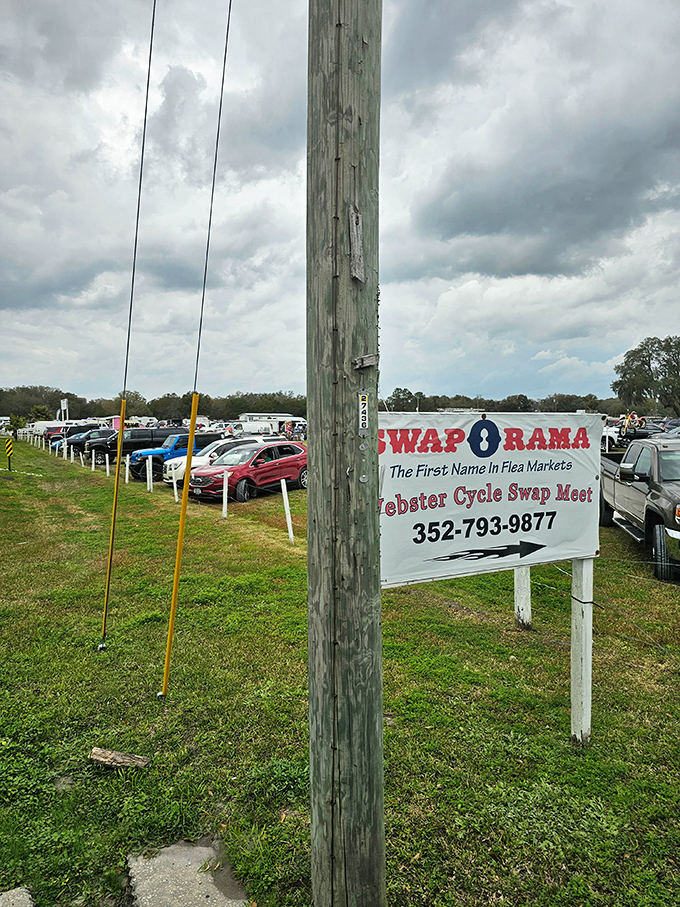 The packed parking lot tells the story before you even step inside—when this many Floridians agree on something, it's worth investigating.
