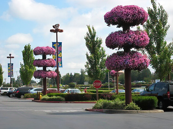 Those whimsical floral towers in the parking area aren't just pretty&mdash;they're landmarks for remembering where you parked after your shopping blackout.
