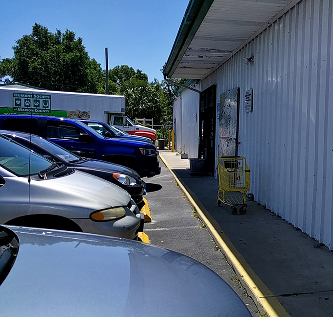 Florida sunshine illuminates the parking lot, where empty cars hint at owners inside making discoveries that will soon fill trunks.