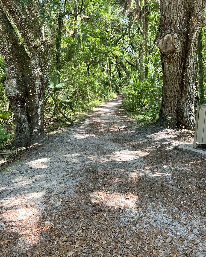 Sun-dappled trails beckon under a canopy of ancient oaks &ndash; nature's version of a red carpet, minus the paparazzi.