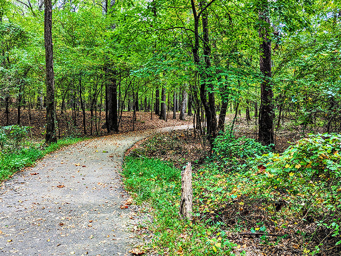 This gentle pathway lulls you into a false sense of security before the real climbing begins. Enjoy the flat while it lasts!