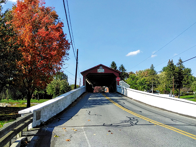 Fall foliage frames the bridge's entrance like nature's own welcome committee. The maple tree's autumn outfit steals the show every time.