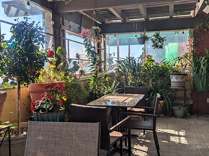 The plant-filled patio offers a greenhouse-like escape where your artichoke feast comes with a side of California sunshine and fresh air.