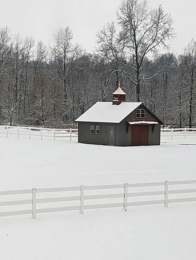 Winter transforms Erinwood into a Currier and Ives print come to life. The snow-blanketed landscape creates silence so profound you can hear your thoughts.