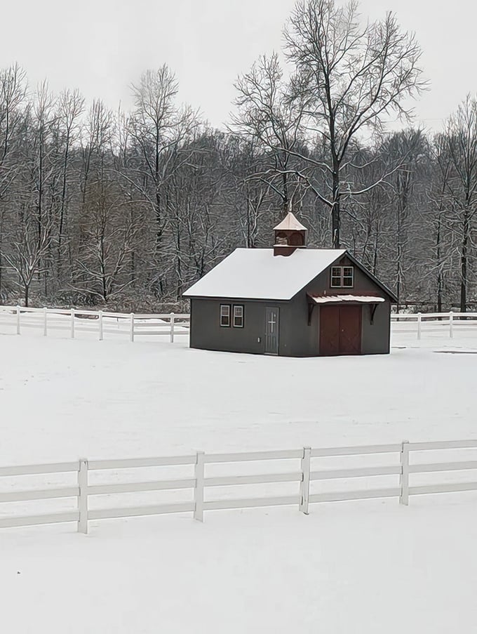 Winter's peaceful embrace. The snow-covered landscape transforms the farm into a serene wonderland that belongs on the front of a holiday card.