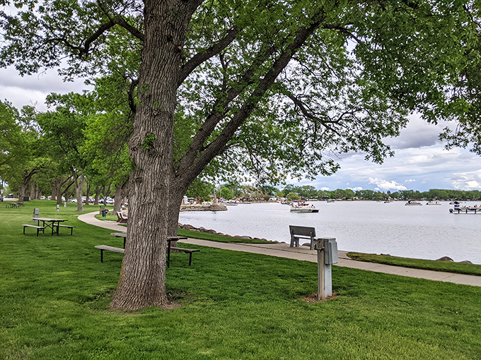 Lakeside picnic spots where the hardest decision is which tree to claim as your dining room. The benches have witnessed countless family gatherings, first dates, and retirement celebrations.