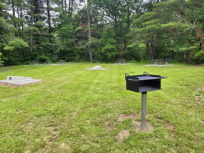 Public picnic areas with actual grills mean you can enjoy outdoor dining without restaurant prices or judgmental waiters hovering nearby.