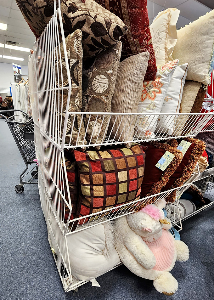 Pillow paradise for the home decor obsessed. That checkered cushion could be the pop of color your neutral couch desperately needs.