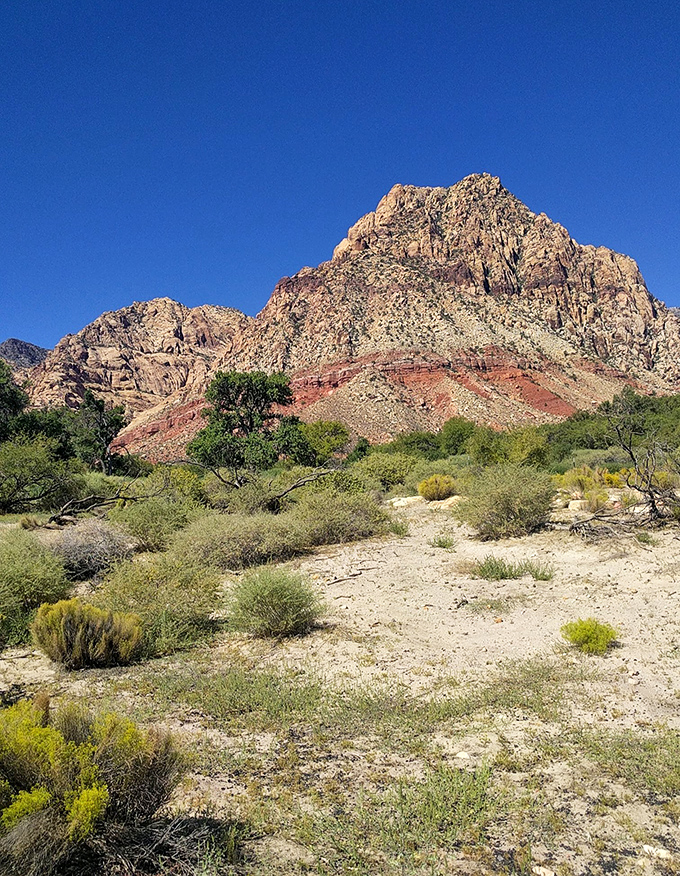 The desert reveals its true colors when you look closely&mdash;layers of geological history stacked like the world's most impressive cake.
