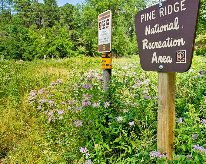 Pine Ridge's wildflower-dotted entrance promises natural beauty that defies the "Nebraska is flat" stereotype outsiders often hold.