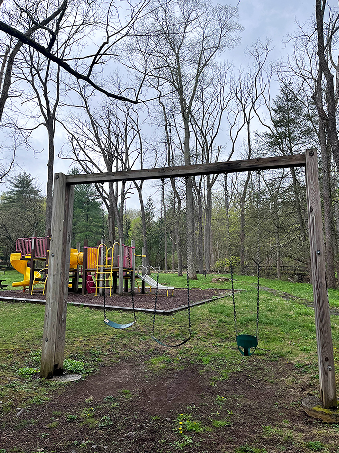 Even wilderness playgrounds understand the universal truth: swings are happiness in motion for visitors of all ages.