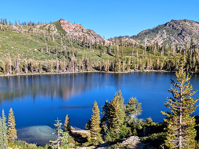 Alpine lakes in Plumas National Forest mirror-polish the sky, offering tranquility that makes meditation apps completely unnecessary.