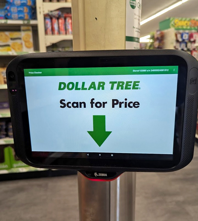The moment of truth: scanning for price. Though we all know it's $1.25, there's something satisfying about that digital confirmation of a bargain well-found.