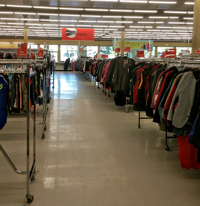 The aisle of infinite possibilities, where shoppers scan for treasures with the focused intensity of archaeologists on the verge of discovery.