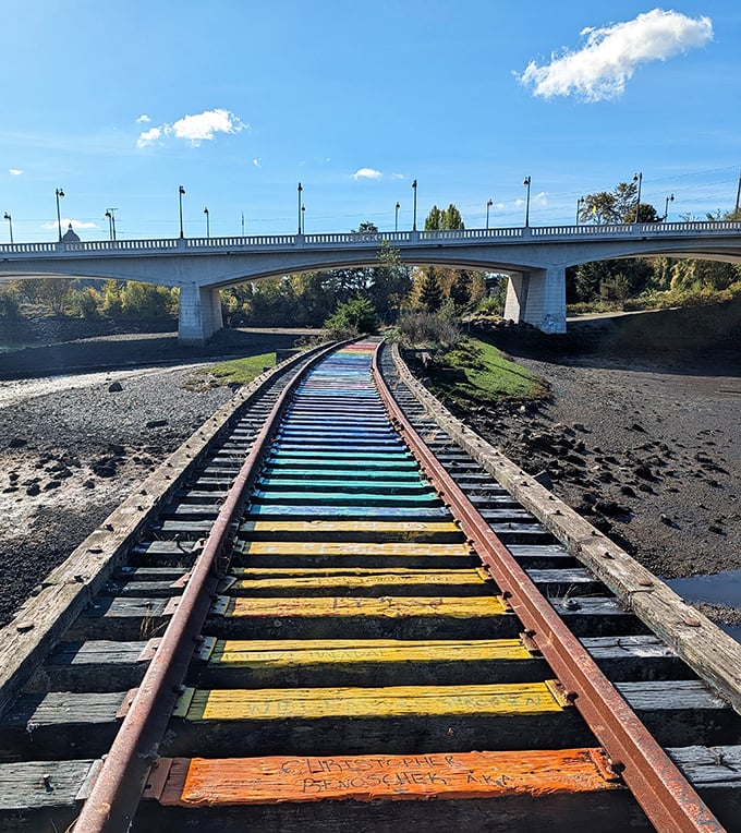 Rainbow Rails transforms ordinary train tracks into an unexpected art installation, proving that even industrial infrastructure can spark joy when given a technicolor makeover.