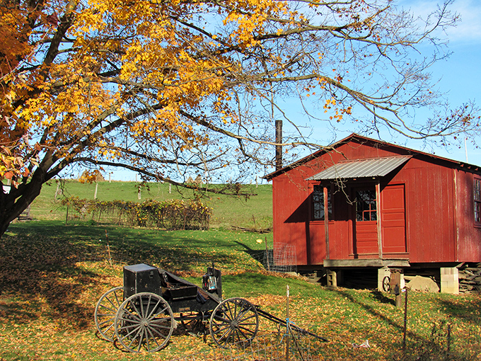 A red cabin and buggy create a scene so quintessentially Amish Country that it feels almost too perfect to be real.