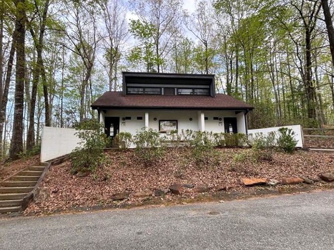 Cabin comforts nestled in the wilderness&mdash;where "roughing it" still includes a solid roof and real walls. Glamping before it was cool.
