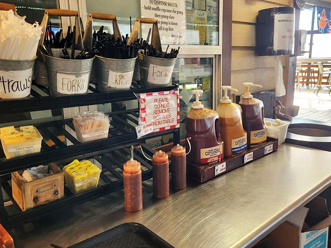 Sauce paradise for the indecisive condiment lover. Whether you lean sweet, spicy, or tangy, this lineup ensures your barbecue gets dressed exactly how you like it.