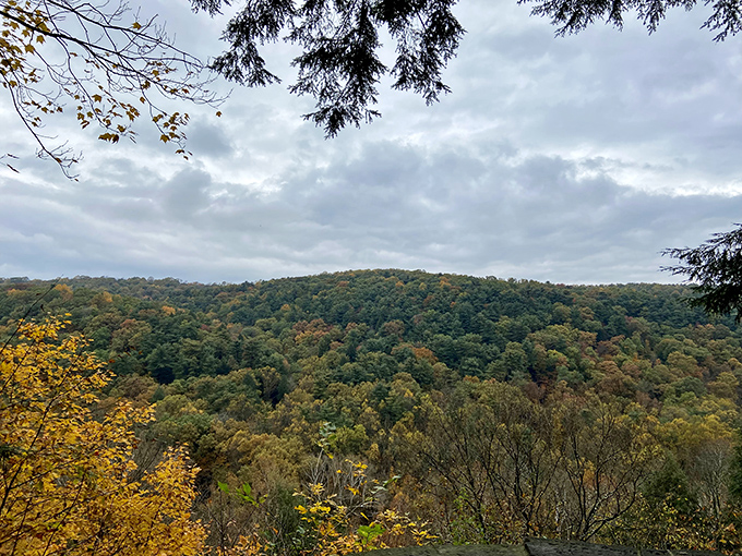 Autumn paints Mohican's rolling hills in a palette that would make Bob Ross reach for his brushes and whisper "happy little trees."
