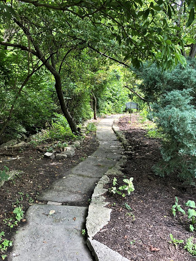 A shaded pathway that promises secrets around every bend. This isn't just a garden walk&mdash;it's the opening chapter of a botanical mystery.