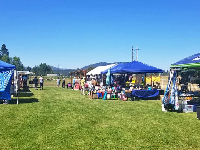 Blue skies and white tents create the perfect backdrop for a day of treasure hunting where the journey is as enjoyable as the finds. 