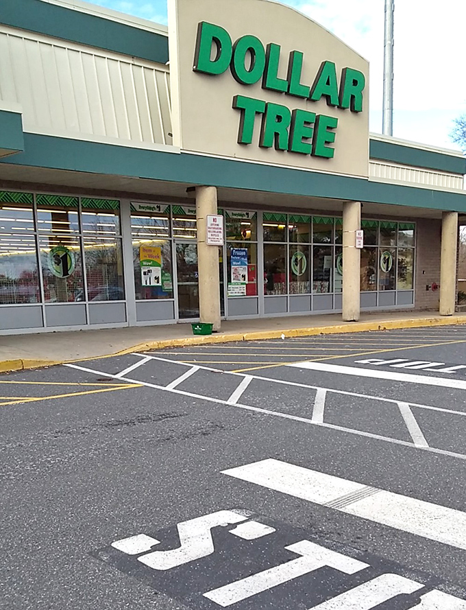 That iconic green signage promises a shopping experience where your dollars transform into an impressive haul that will leave friends asking, "You got ALL that for how much?"