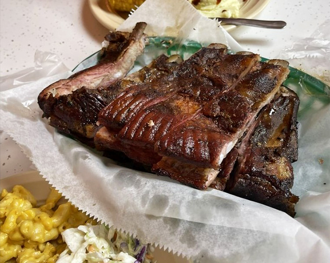Ribs so perfectly rendered they practically volunteer to leave the bone. That bark has more character than most Netflix originals.