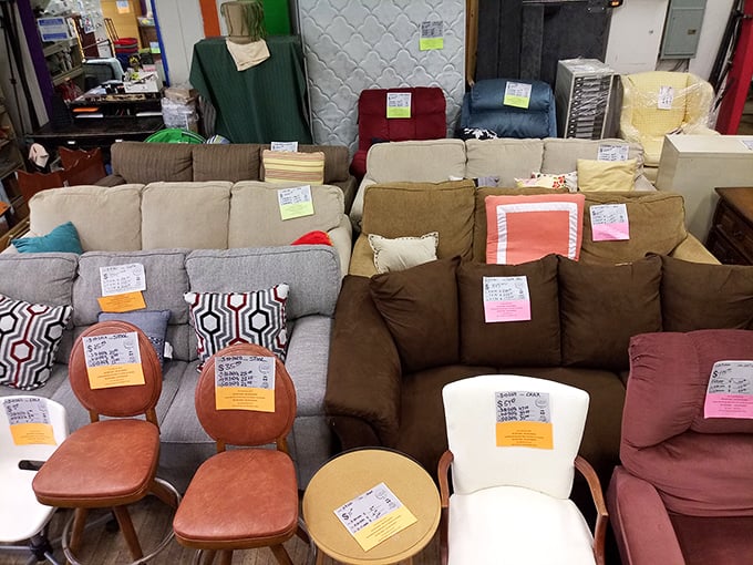 Sofa safari success! Navigate this cushioned landscape carefully and you might just find the perfect perch for your next Netflix marathon.