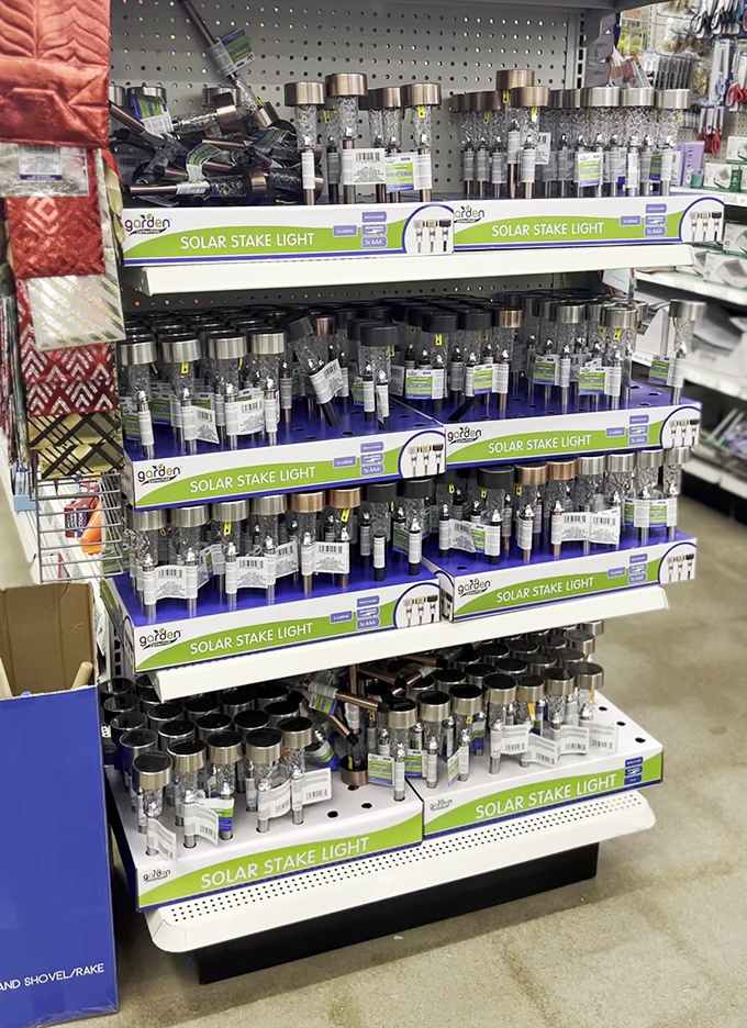 Solar stake lights promising to illuminate your garden path like a discount runway to nighttime beauty.